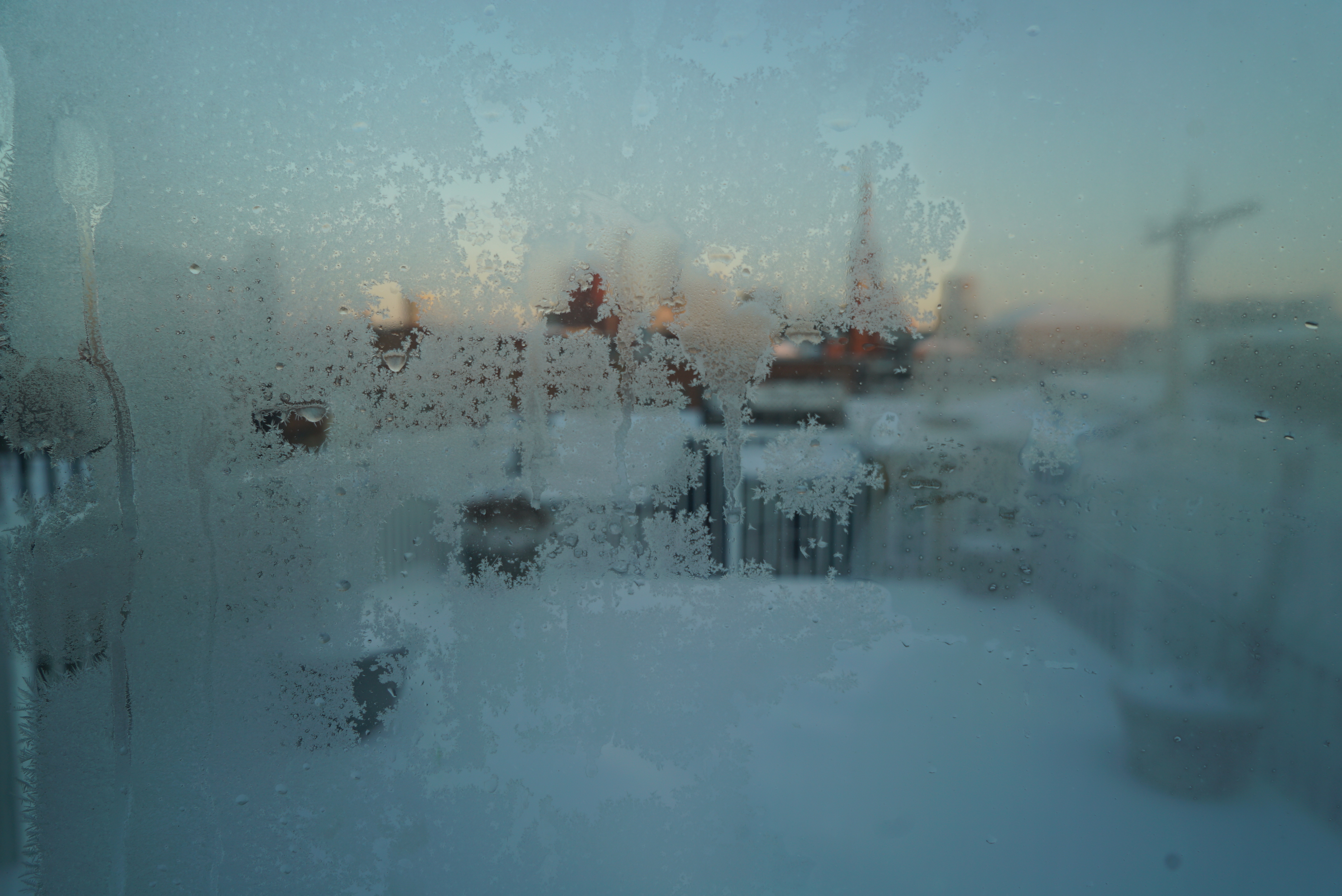 Winter ice and sparkles: photos from my roof – gaia mouse